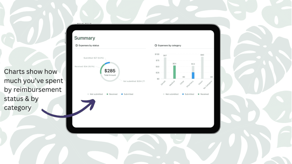 HSA Receipt Tracker – Notion Template - Plan. Do. Thrive.