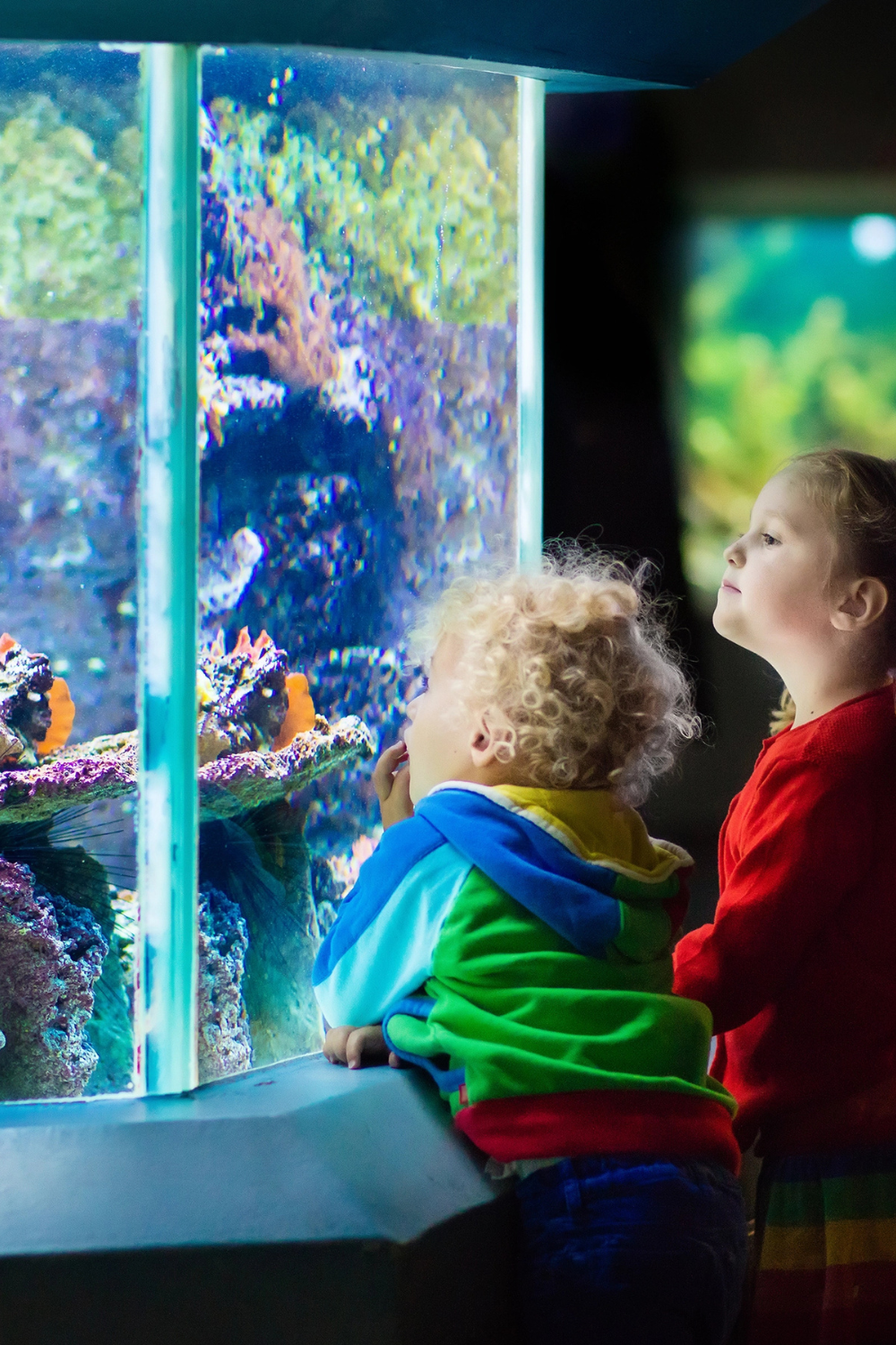 51 fun indoor places to go with kids when you need to get out - Plan ...