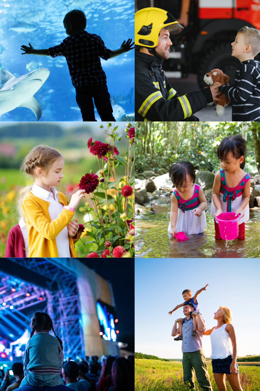 How to plan an awesome family fun day outing - Plan. Do. Thrive.